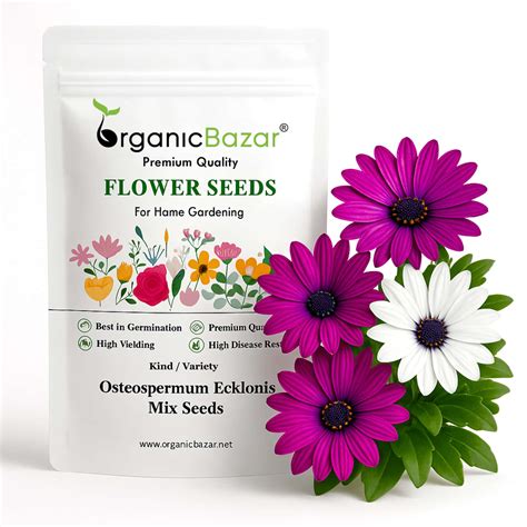Buy Best Quality Osteospermum Ecklonis Mix Seeds Organicbazar