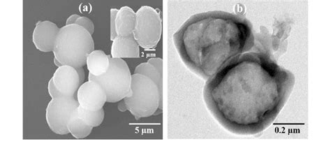 A B Sem And Tem Images Revealing The 8 Hq Filled Microcapsule