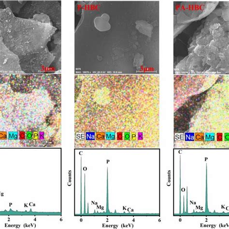 Scanning Electron Microscopy Energy Dispersive Spectroscopy Semeds