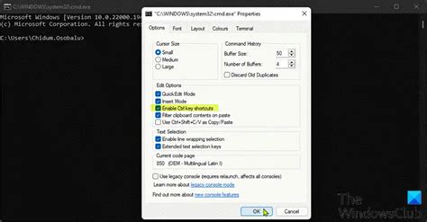 如何在 Windows 1110 的命令提示符中启用 Ctrlc 和 Ctrlv Tech Club