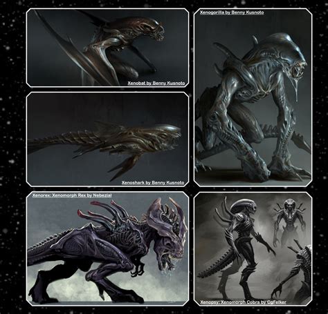 Xenomorph Types