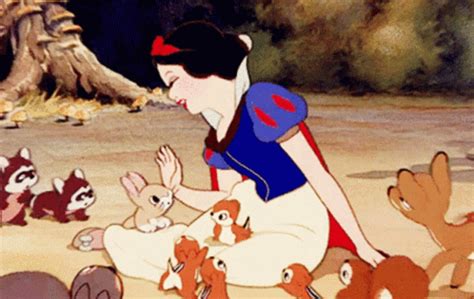 Snow White Animals Snow White  Snow White Animals Snow White Sweet