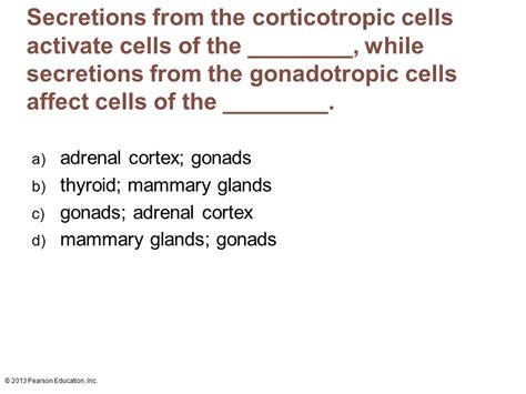 16 The Endocrine System Ppt Download
