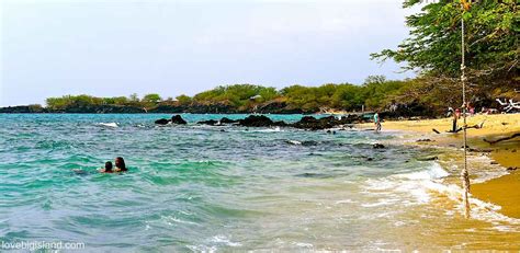 Our Favorite Things To Do In Waimea Kamuela Big Island