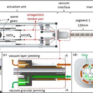 PDF Development Of A Tendon Driven Variable Stiffness Continuum Robot With Layer Jamming In