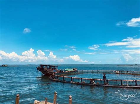 Golden Pompano Producerfactorymanufacturersupplierexporter Amyco