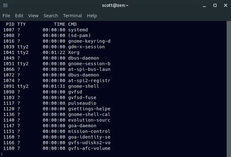Using More To View Text Files At The Linux Command Line