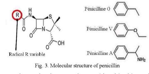 Figure 1 From Light Siamese Neural Network Architecture For Image Comparison Semantic Scholar
