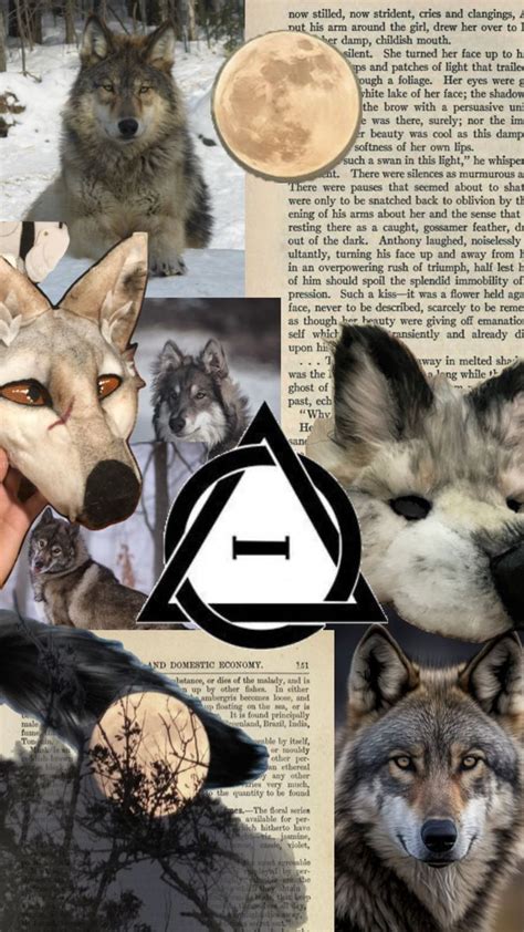Wolf Therian Wallpaper 🐺 Wolf Mask Wallpaper Wolf