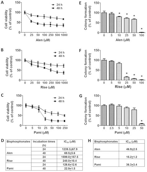 Antiproliferative And Antimigratory Activities Of Bisphosphonates In