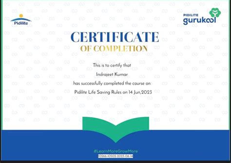 Pidilite Hah Achievement Leaning Linkedin Procurement Logistics