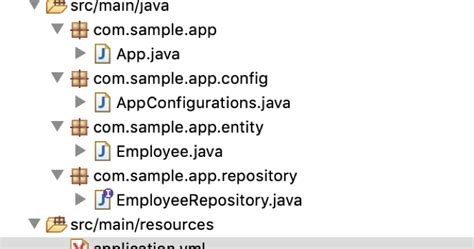 Programming For Beginners Spring Boot Hikari Connection Pool Example