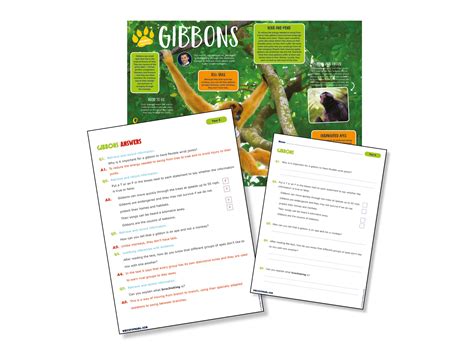 Yr4 Reading Science Gibbons Teaching Resources