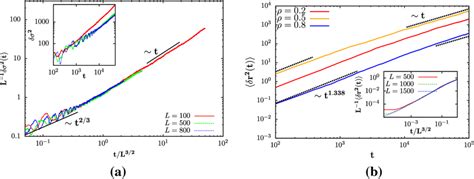 a growth of the mean square displacement for a tagged particle with