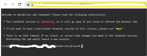 Databricks Web Terminal Now You Can Direct Access Databricks