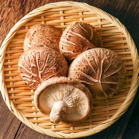 Shiitake Mushroom Plant Based Protein • Grocery Delivery Bangkok