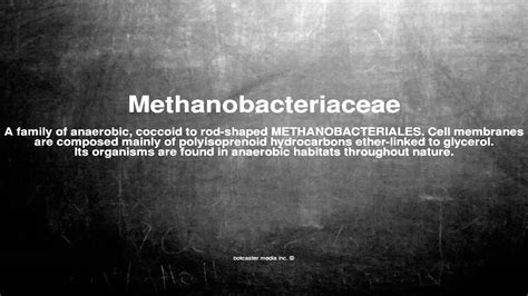 Medical Vocabulary What Does Methanobacteriaceae Mean Youtube