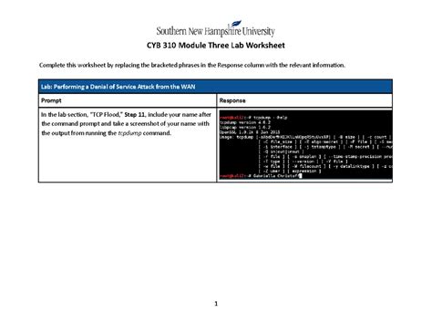 Cyb 310 Module 3 Lab Worksheet Wan Attack Analysis Studocu