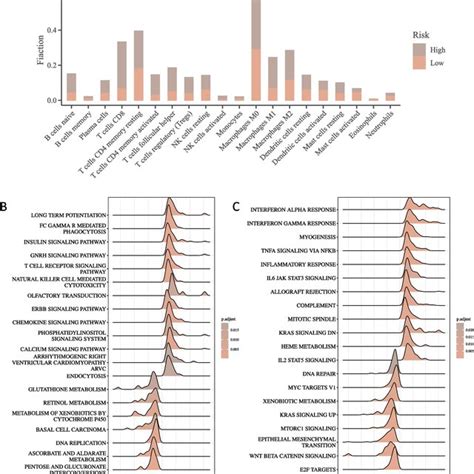 Analysis Of The Immune Cell Infiltration And The Differentially Download Scientific Diagram