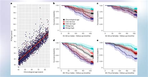 Principal Component Based Clinical Aging Clocks Identify Signatures Of