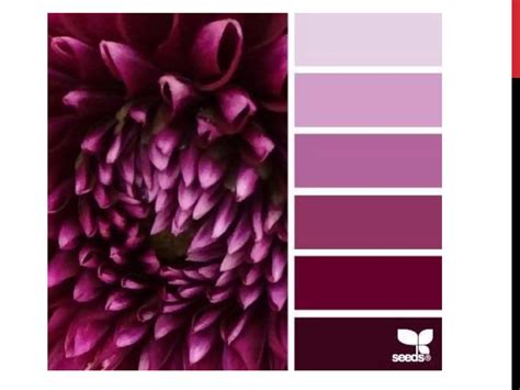 Elements Of Design Color Ppt