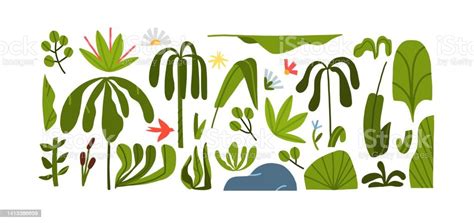 손으로 그린 벡터 추상 그래픽 클립 아트 일러스트 컬렉션 컬렉션 꽃과 열대 잎의 추상적 인 보호 자연 모양과 구성의 세트 현대 자연 디자인 식물원 공원에 대한 스톡 벡터