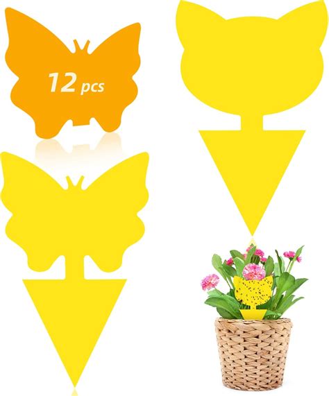 Sticky Traps For Gnats Indoor Fruit Fly Traps For Nepal Ubuy