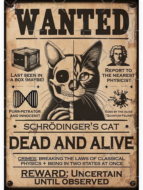Schrödingers Cat Wanted Dead And Alive Poster For Sale By