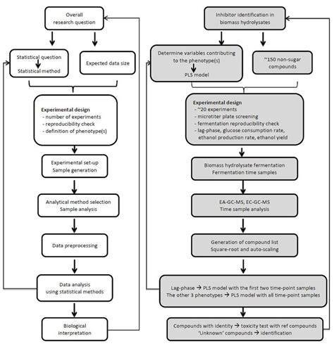 a overview of a general metabolomics workflow b non targeted