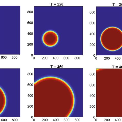 The Two Dimensional Numerical Simulations Describe The Dynamics Of