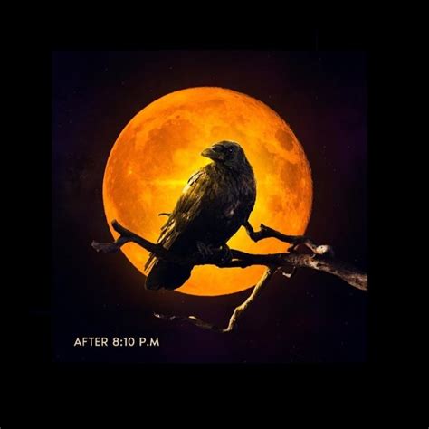 After 8 10 Pm Eugene Roberts Iii