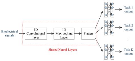 A Deep Multi-Task Learning Approach for Bioelectrical Signal Analysis