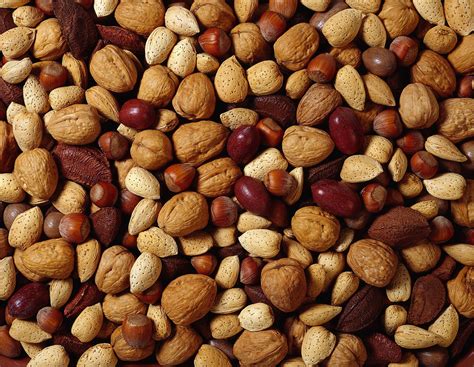Nut Wallpaper HD Download