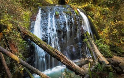 The Ai Shift From Prompt Engineering To Flow Engineering Techzine Global