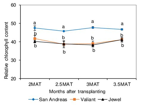 relative chlorophyll content of strawberry leaves from 2 5 months to