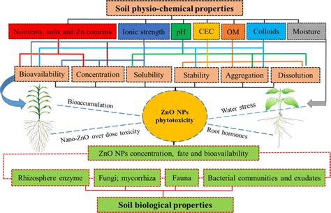 Schematic Diagram Demonstrating The Multitude Of Soil Physio Chemical Download Scientific