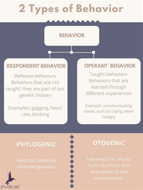 Types Of Behavior And What To Know About Them