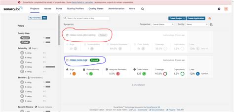 Upgraded Sonarqube 990 To 101 And Some Projects Are Not Visible