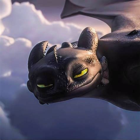 Silly Toothless En 2025 Arte De Dragón Obras De Arte De Dragón