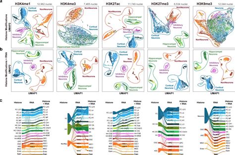Joint Profiling Of Histone Modifications And Transcriptome In Single