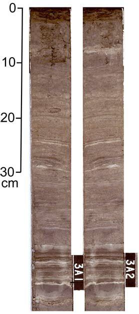 Representative Split Core Section Core 3 Section A Twin Halves 1 And Download Scientific