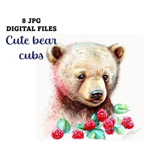 Free Clipart Bear Cub