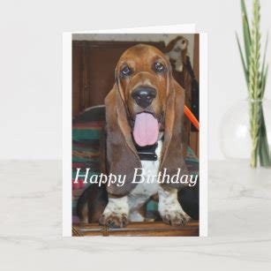 Basset Hound Cards Greeting Cards And More Zazzle Ca