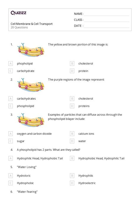 Transport Through The Cell Membrane Worksheet Free Worksheets Printable