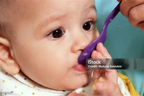 음식을 먹는 어린 소년의 초상화 수유 의자에 숟가락을 가진 아기 첫 식사를 먹는 귀여운 아기 1위에 대한 스톡 사진 및 기타 이미지 Istock