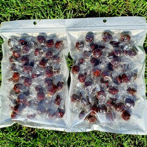 Seedless Guan Yee From Pattani Made Fresh Every Day Real Meat 1 Total
