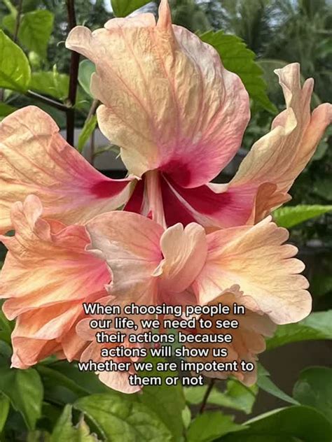 Shahida Ahmed On Linkedin Motivation Selflove Selfimprovement Selfdevelopment People…