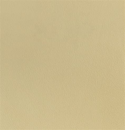 Ecru Color Swatch