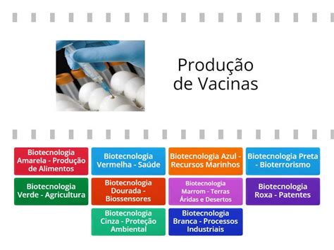 10 Tipos De Biotecnologia Znajdź Parę