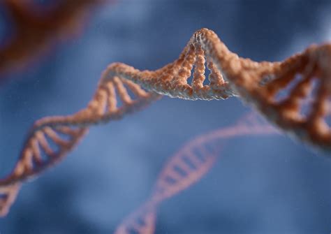 Understanding Genetic Testing For Brca1 And Brca2 Mutations